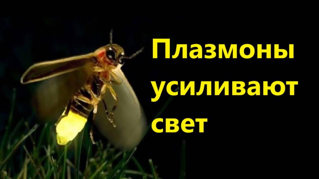 Плазмоны усиливают свет