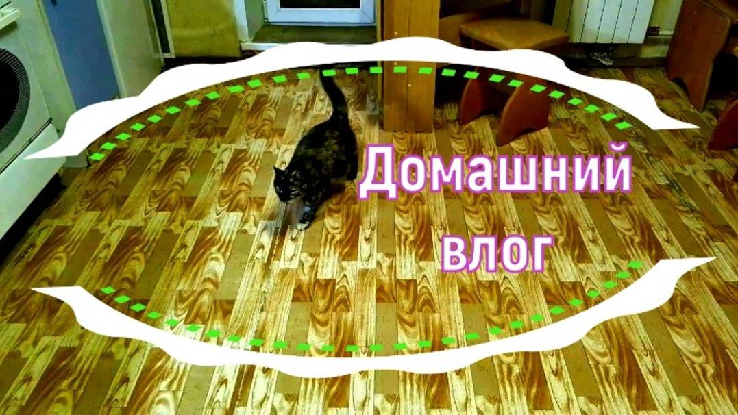 Наш мини влог