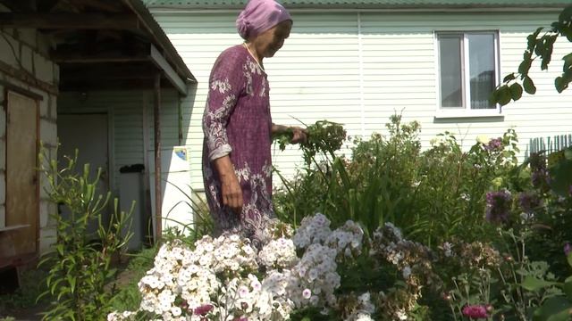 Расиха апа чәчәкләре