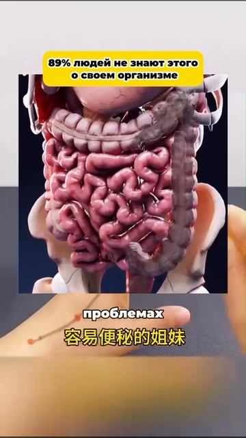 Лечебные точки на пальцах