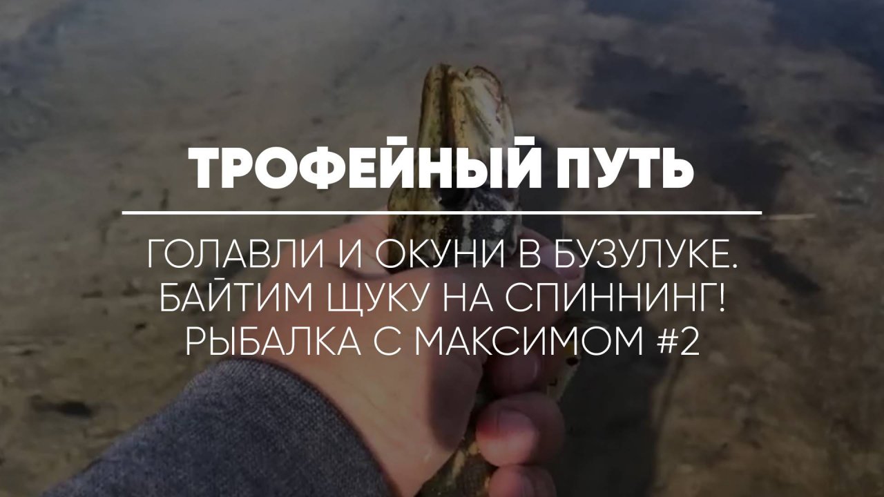 ТРОФЕЙНЫЙ ПУТЬ // Голавли и окуни в Бузулуке. Байтим щуку на спиннинг! Рыбалка с Максимом #2