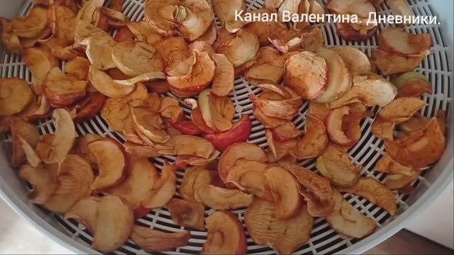 Хорошо, что хоть  такие есть. Неурожай яблок. Будет и у нас нынче яблочный компот. 12.08.2025
