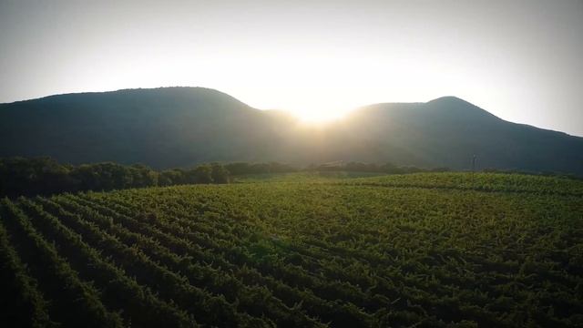 ЖК Нега Алушта | Жилой комплекс Крыма | Цены и Планировка | ЮБК