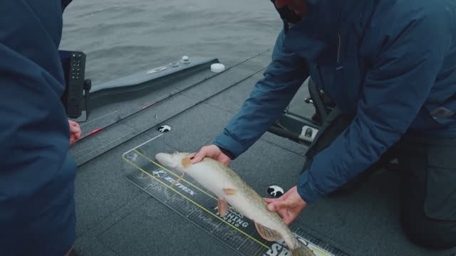 "HOT SPOT PIKE"