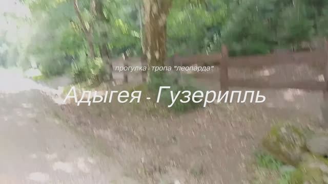 Адыгея_Гузерипль_прогулка_тропа_леопарда