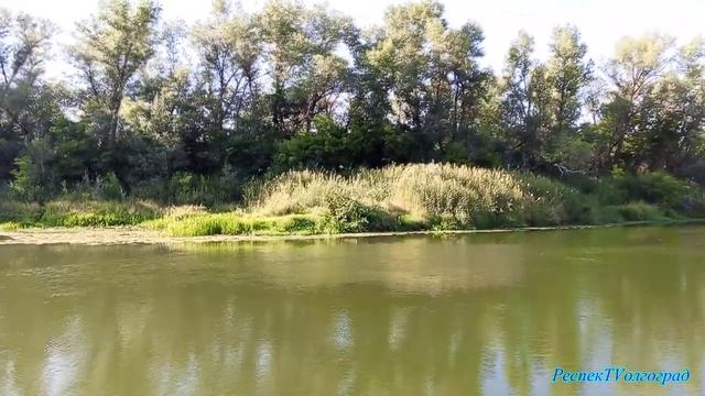 Летняя Медведица. Волгоградская область #Березовская
