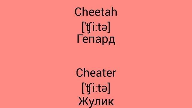 В чём разница !?!?!? WTD (What's the difference)!?!?!? CHEETAH vs CHEATER