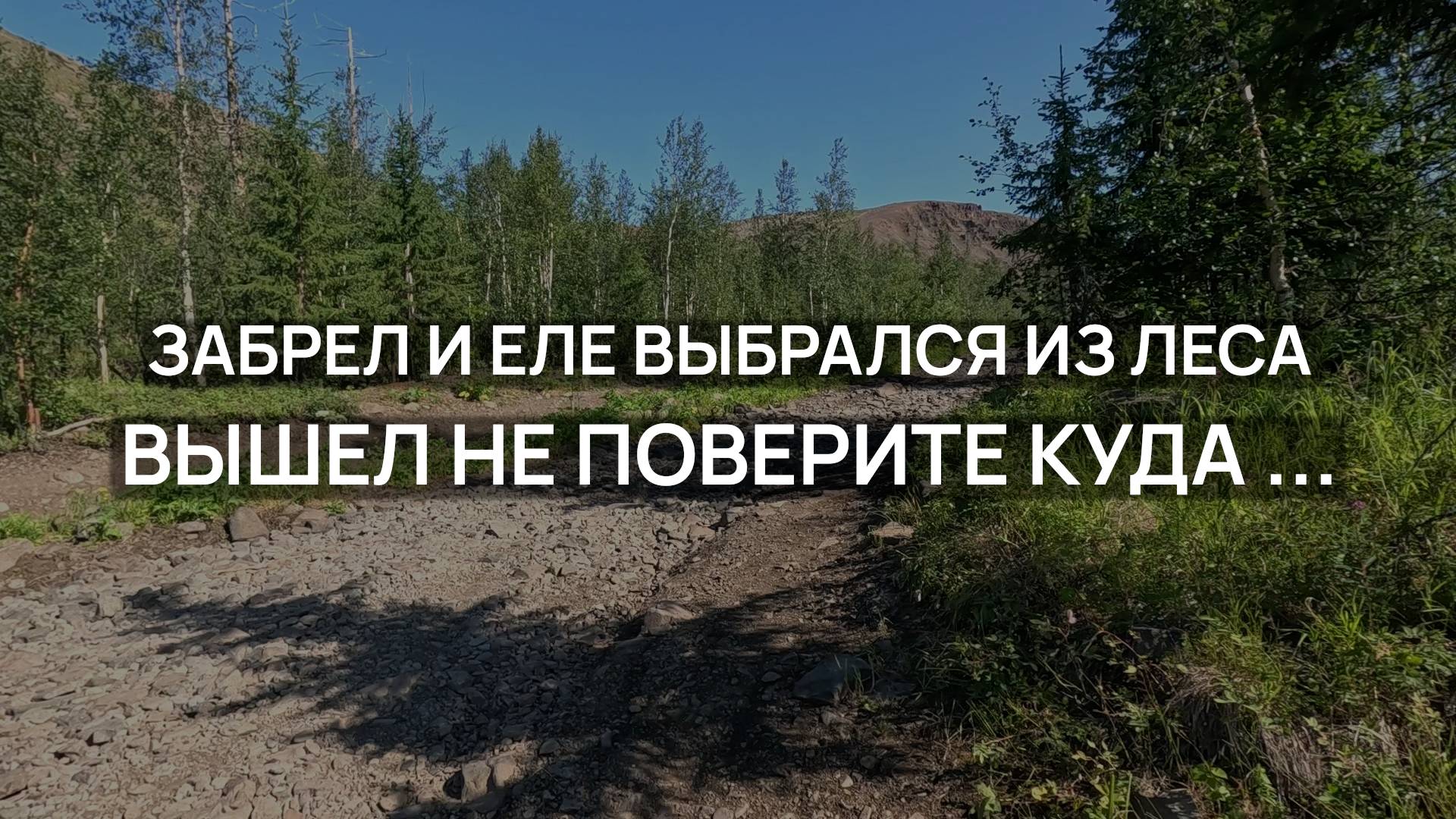 ЗАБРЕЛ и еле выбрался из леса. НАШЕЛ пару артефактов. Вышел вы не поверите куда ...
