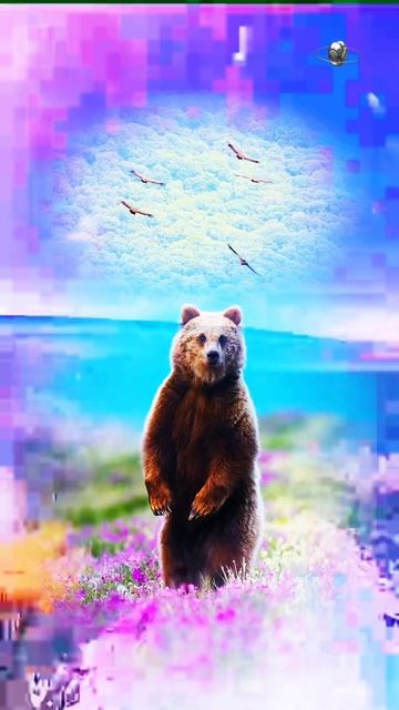 Сабр кил оллох сен билан