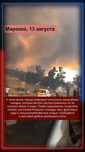 14.08.2025 Что произошло в мире(смотри описание к видео)