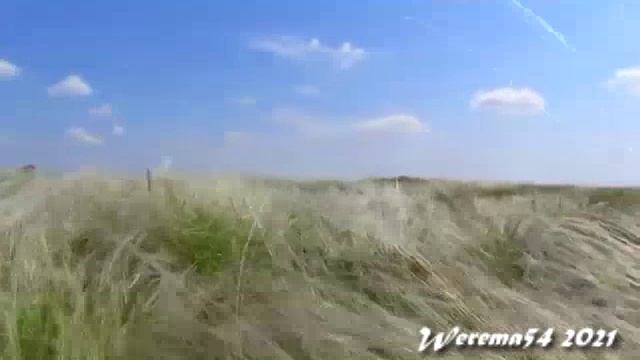 Июль .Жара в Приазовье Werema54
