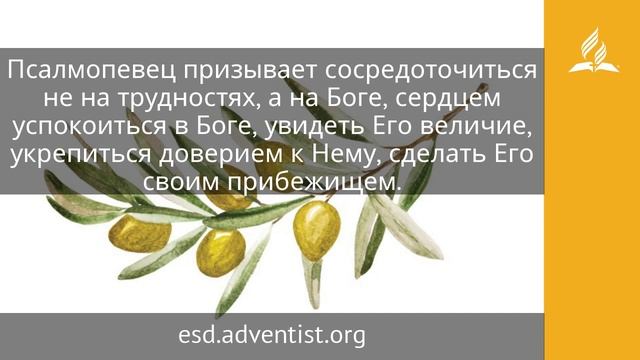 16 августа 2025. Живой в помощи. Под сенью благодати _ Адвентисты