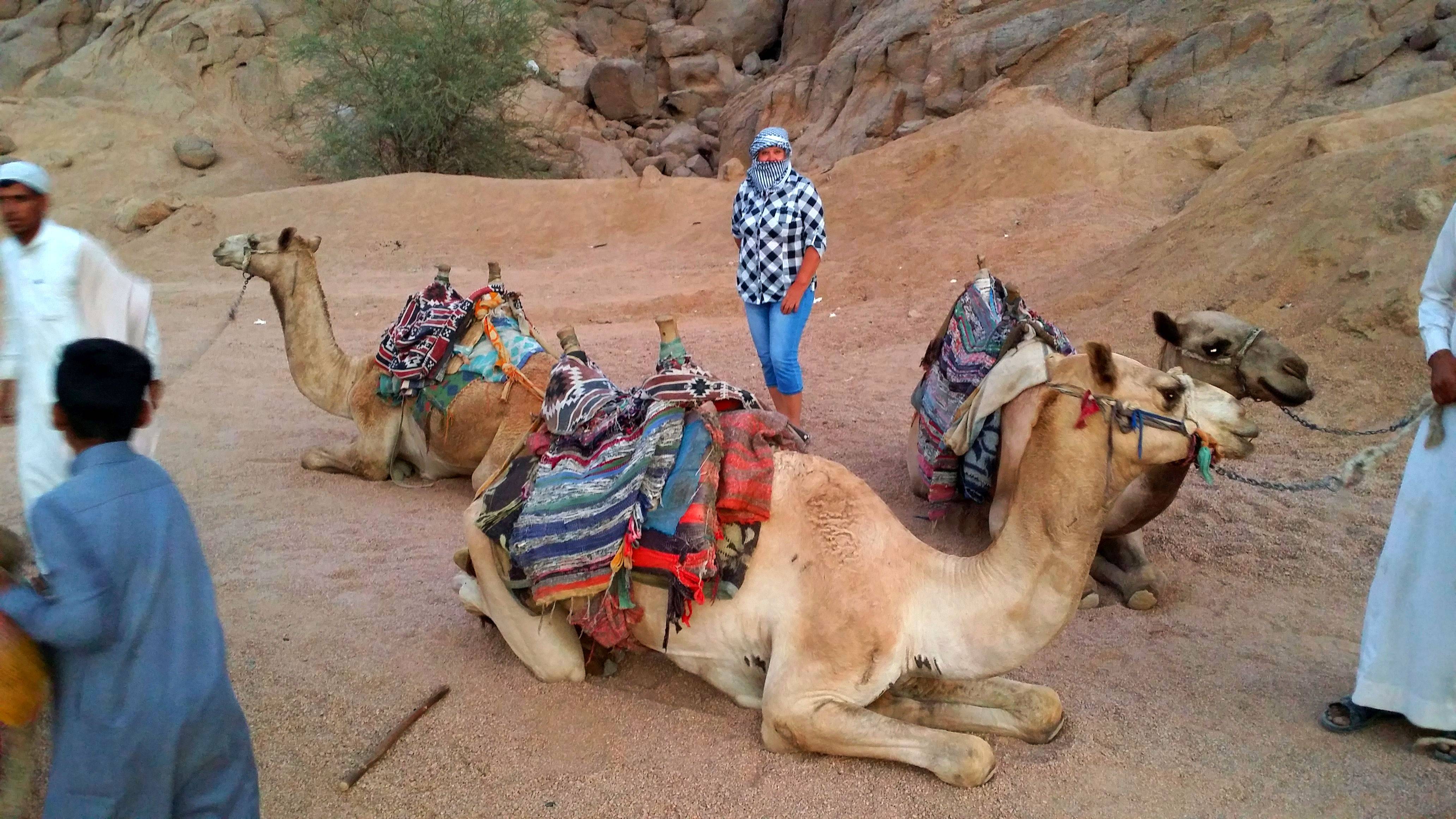 Сафари на квадроциклах Шарм - эль - Шейхе. муз. Коротко.