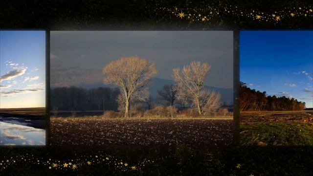Moments Of Life 163 (Dark Ambient Mix)