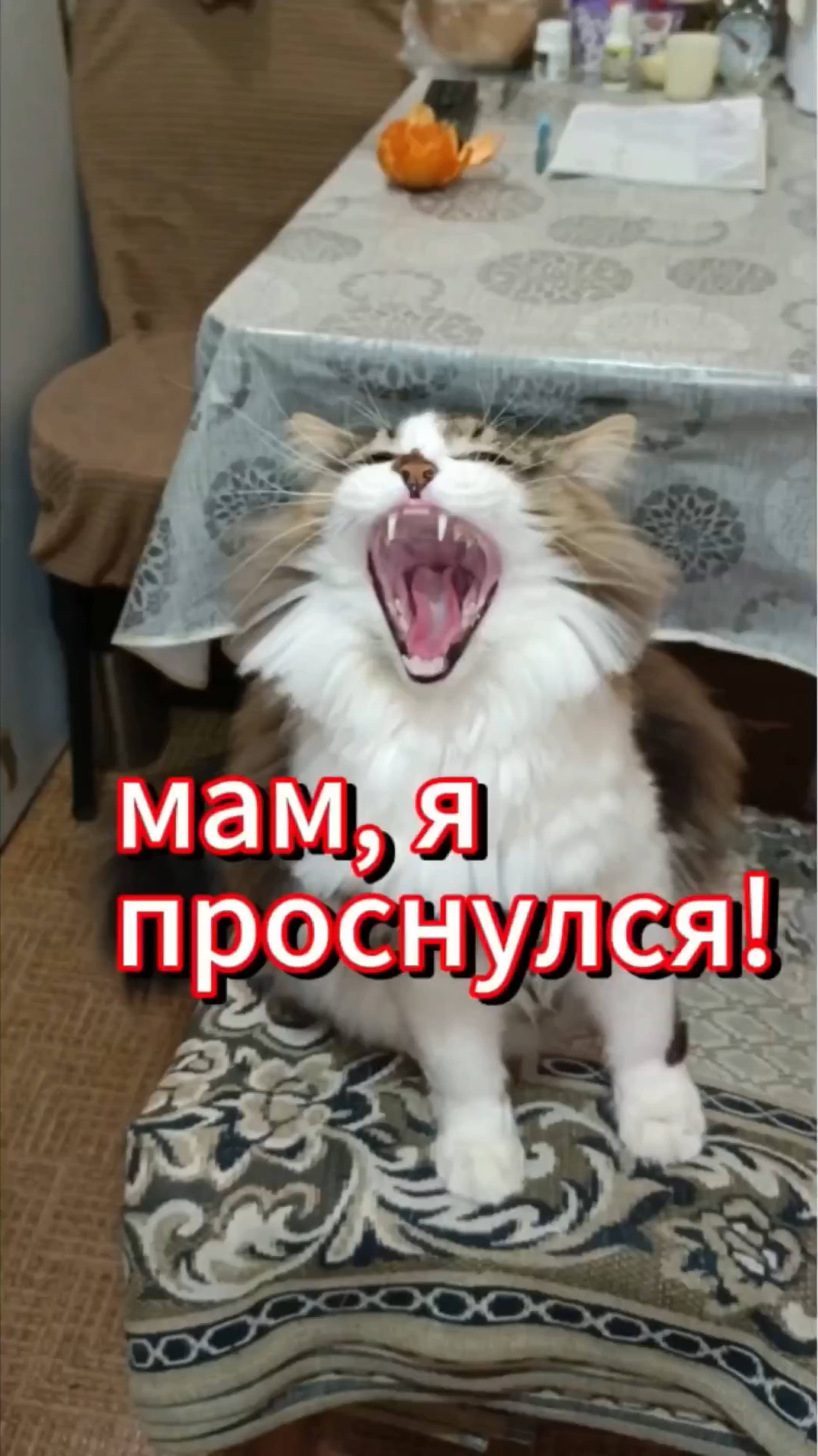Мам! Я уже проснулся!