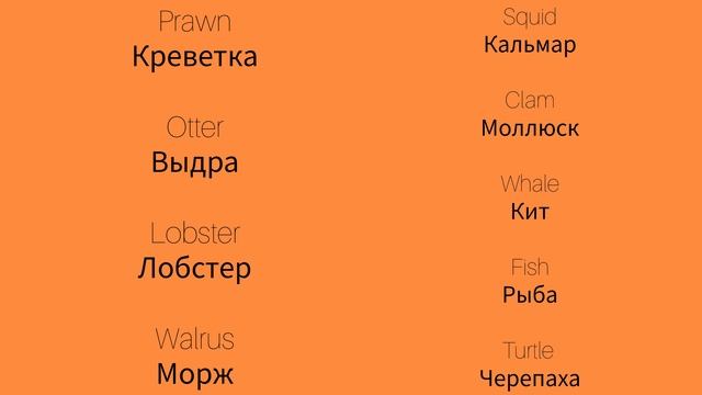 Морские животные 2 Sea Animals 2