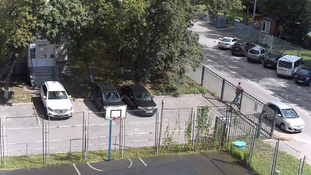 TSi-Pn655VZ_лето