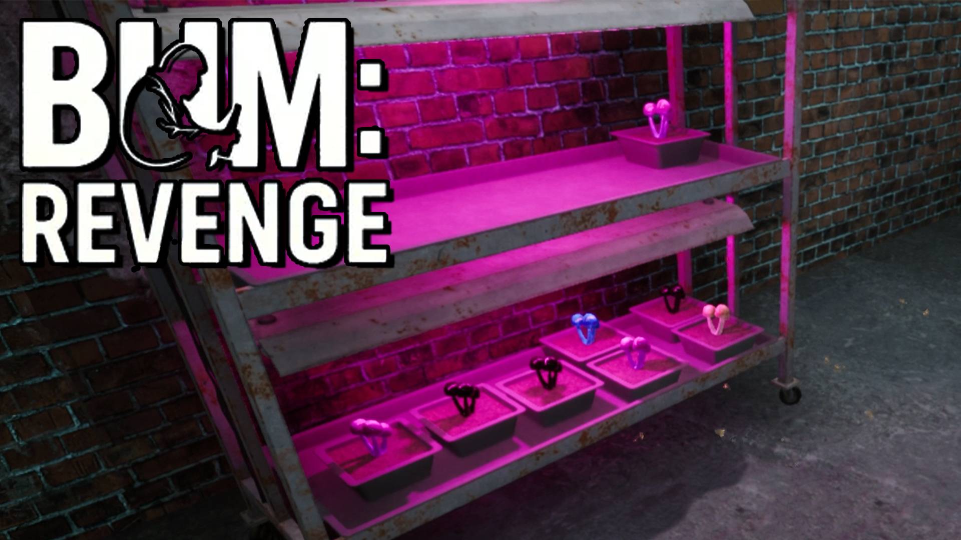 Грибная ферма - Bum: Revenge #4 Прохождение