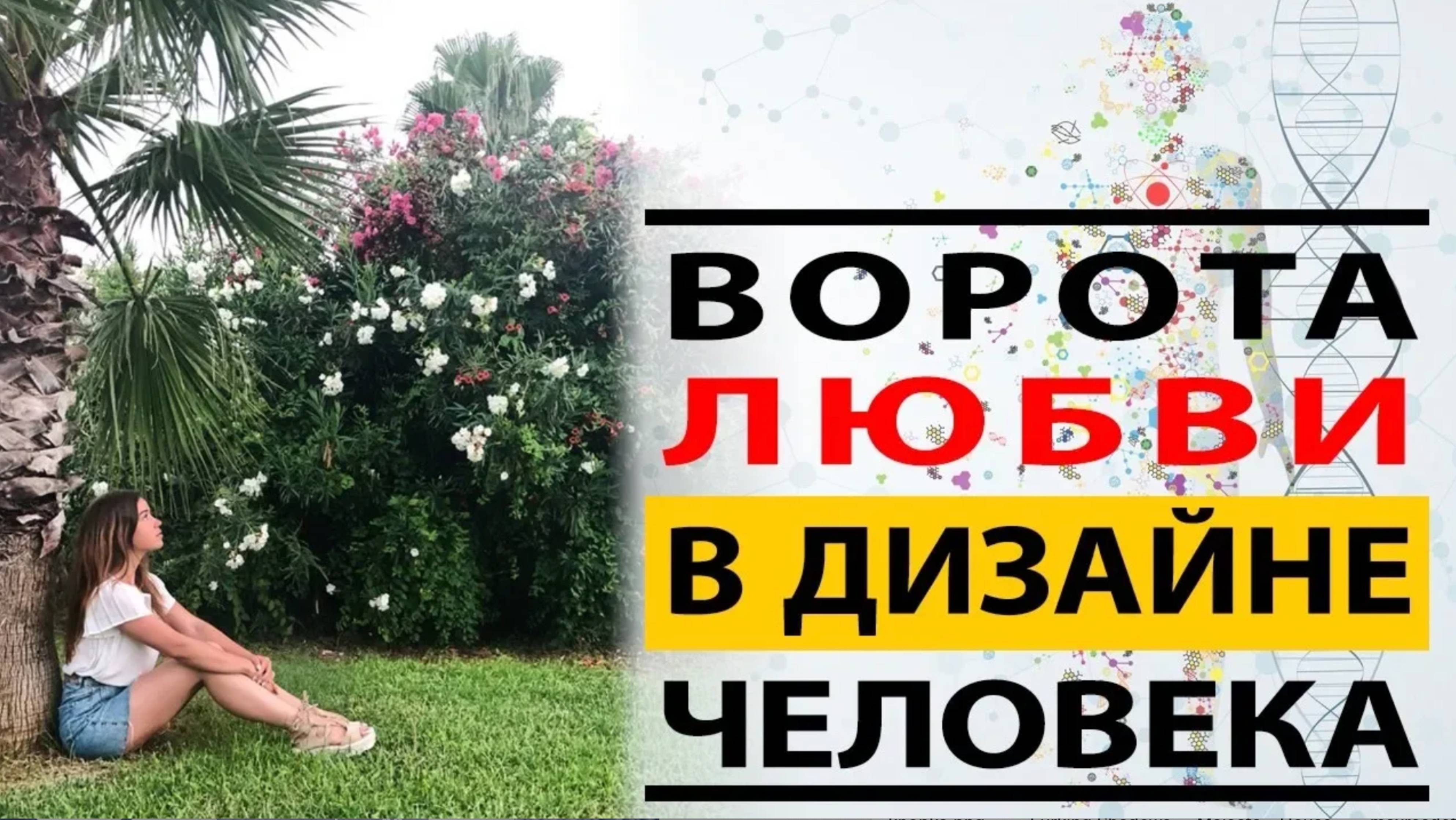 Дизайн Человека Human Design Ворота Любви Отношения Композит Совместимость