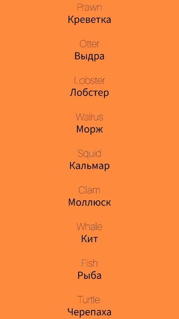 Морские животные 2 Sea Animals 2
