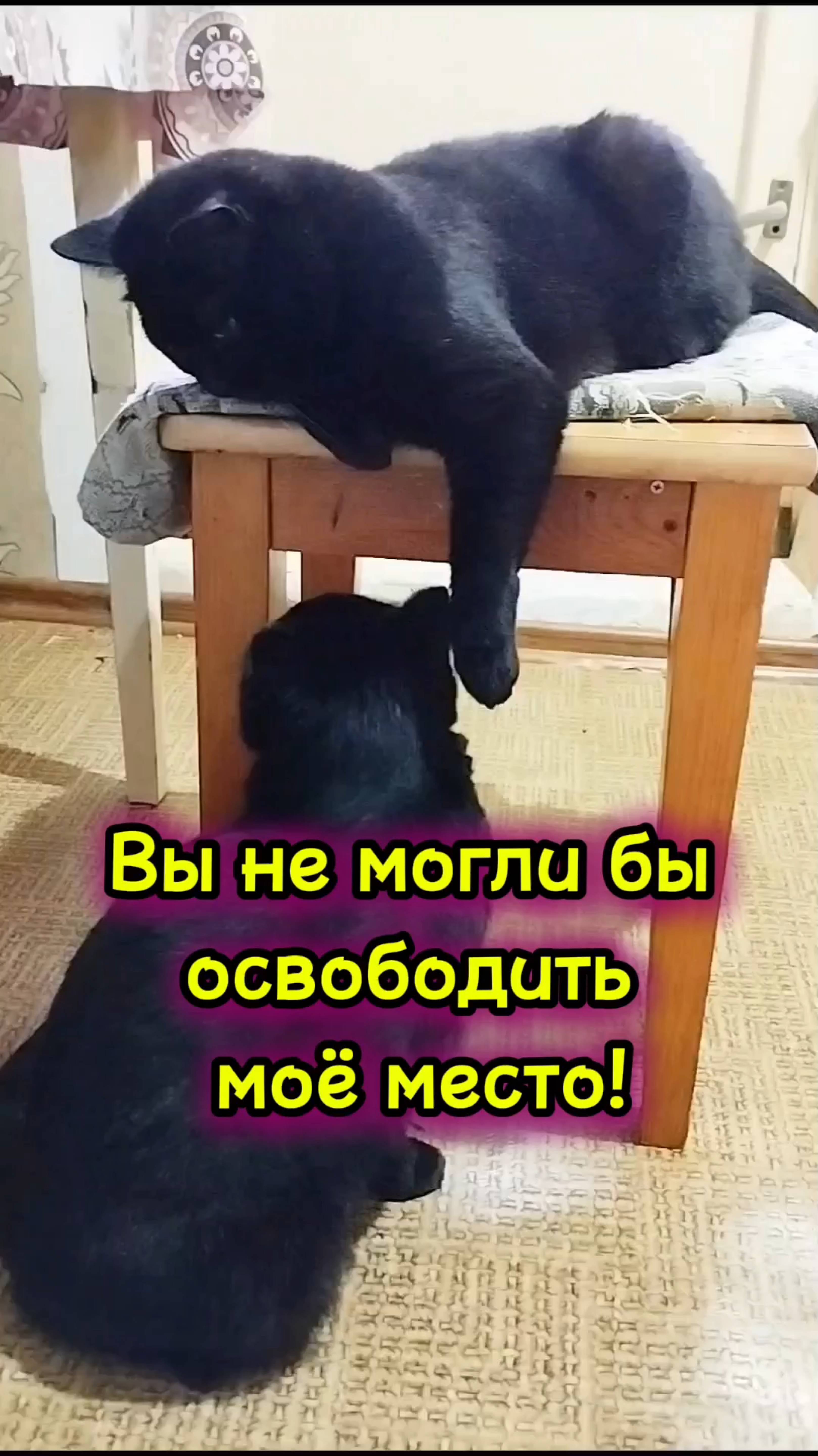 Вы не могли бы, освободить моё место?