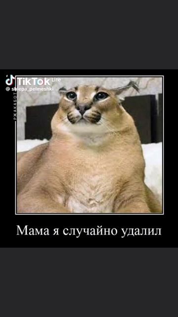 вот такая хорошая добрая мама (No #16, part 1)