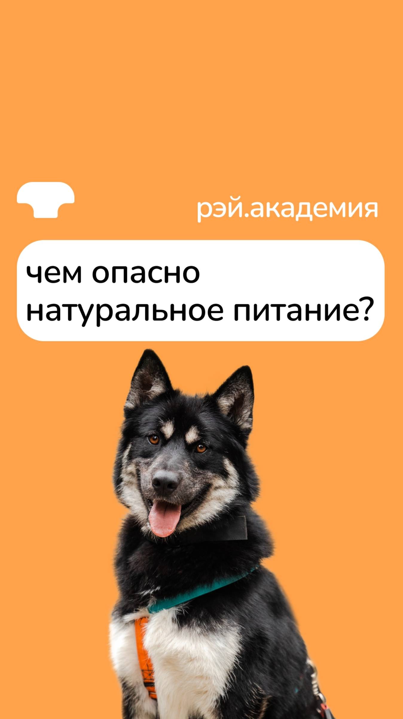 Чем опасно натуральное питание?