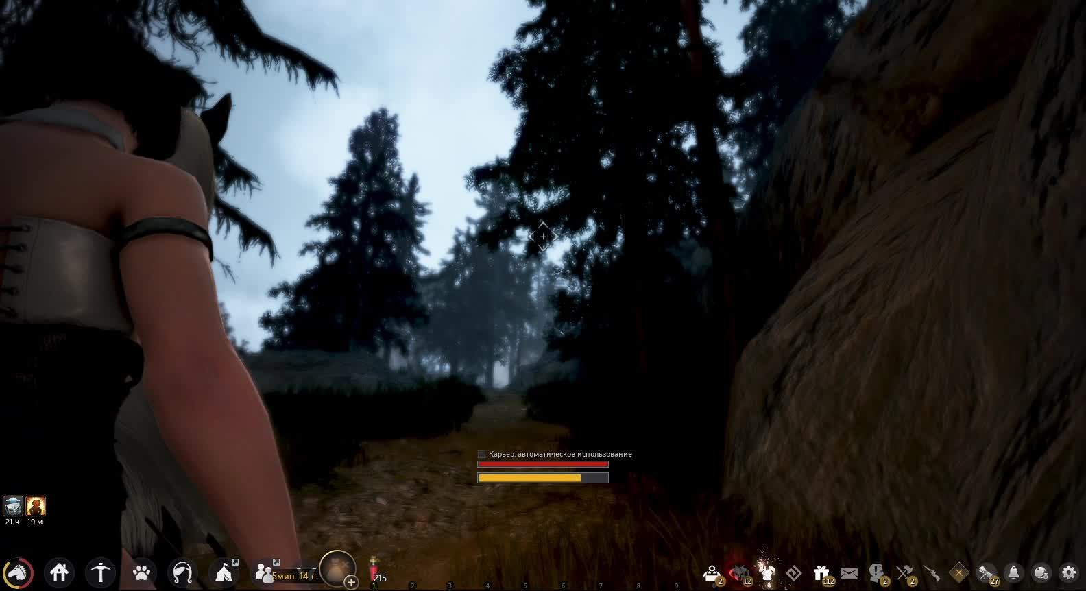 Black Desert