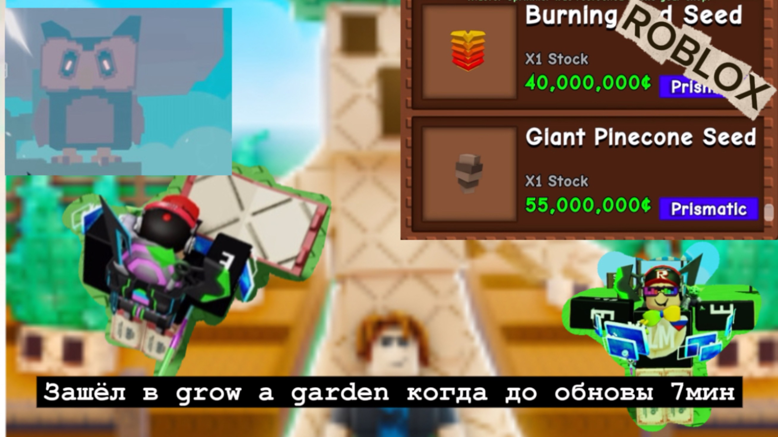 ЗАШЁЛ В GROW A GARDEN когда до обновления 7мин (это капец) ROBLOX