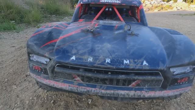 Мясная покатуха 10-08-2025