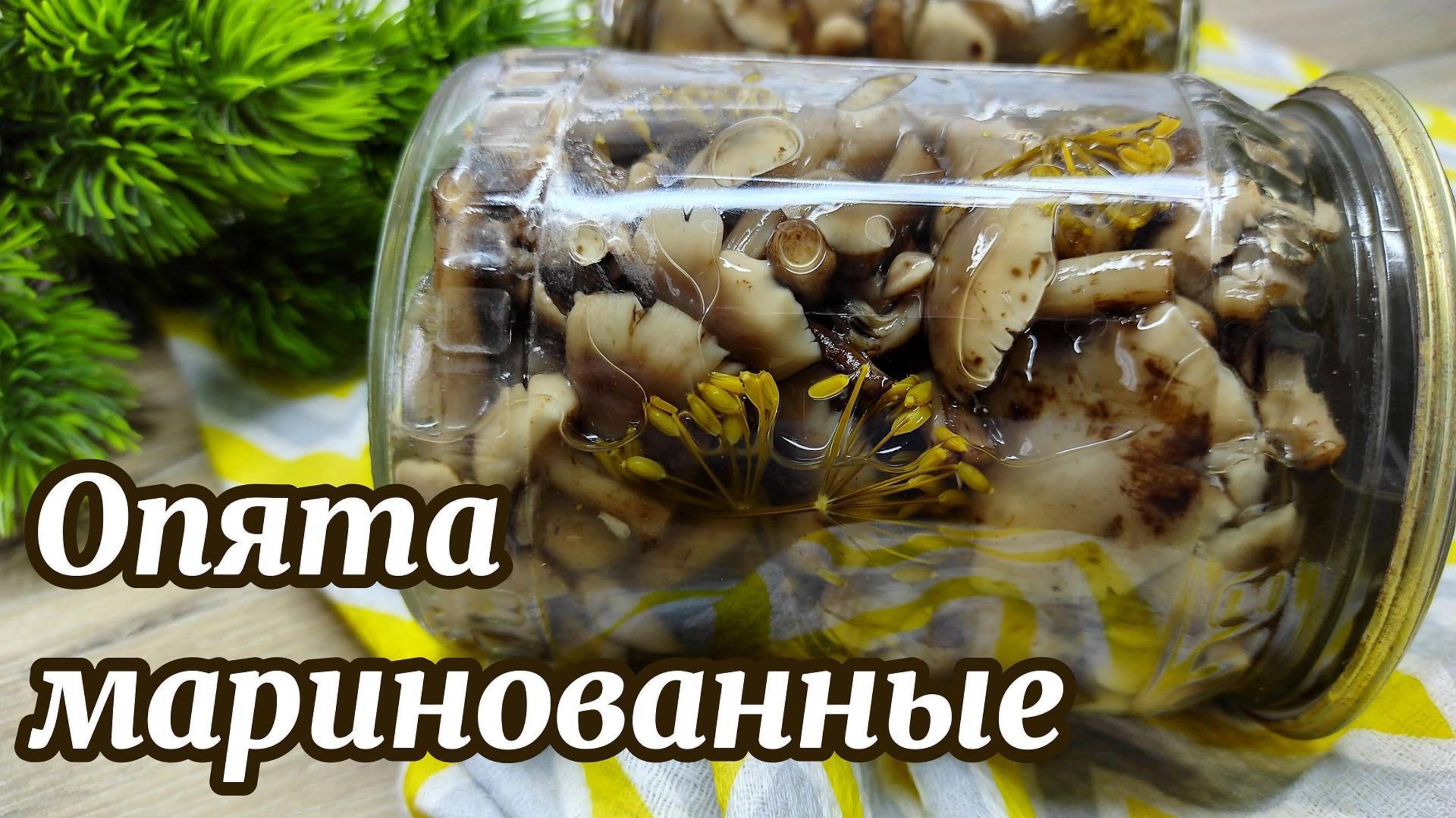 Простой рецепт маринованных опят - самый вкусны рецепт