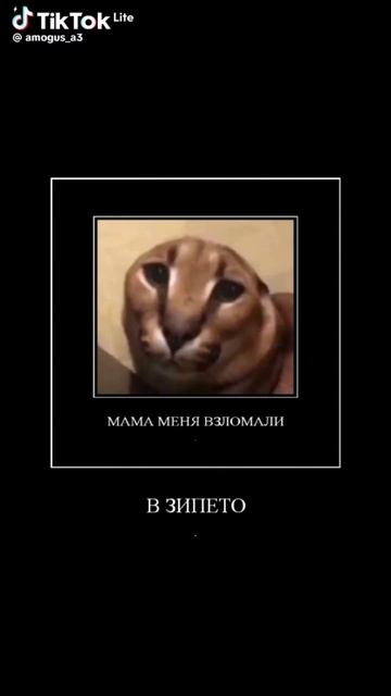 вот такой хороший добрый папа (No #10, part 3)