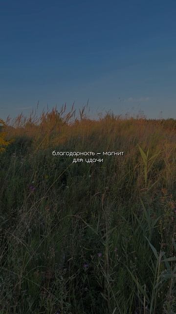 Ценить маленькие победы...