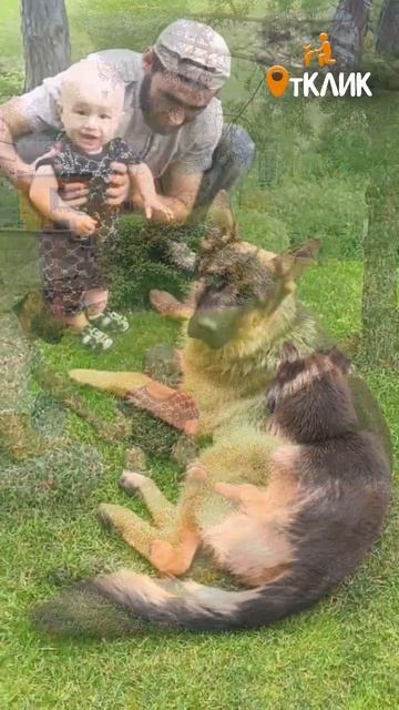 Доверие с детства