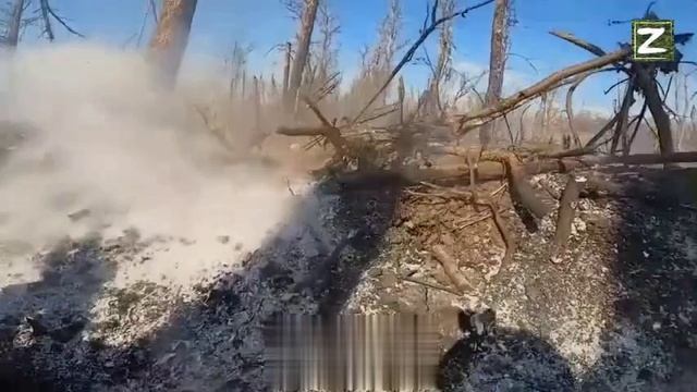 СВО бойцы ВСУ штурмуют позиции РФ.