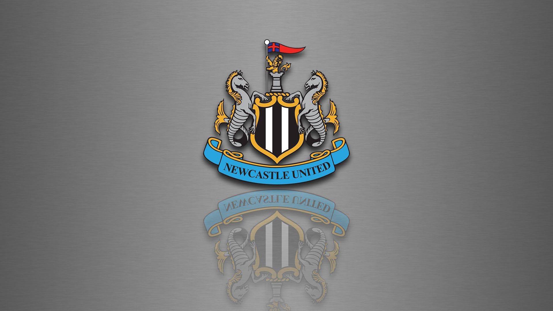 1-й тур   Вулверхэмптон-Ньюкасл