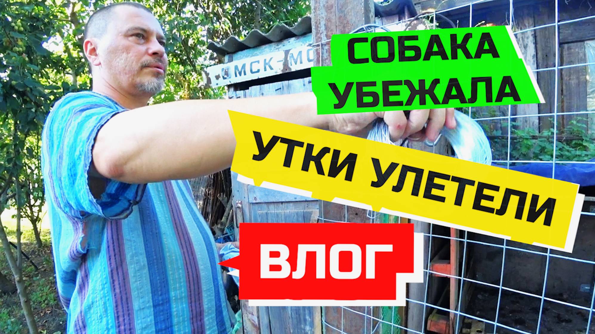 961 ВЛОГ ЗА НЕДЕЛЮ. СОБАКА УБЕЖАЛА.  УТКИ УЛЕТЕЛИ, ВЕЛИК ПОЧИНИЛИ, УРОЖАЙ СОБРАЛИ.