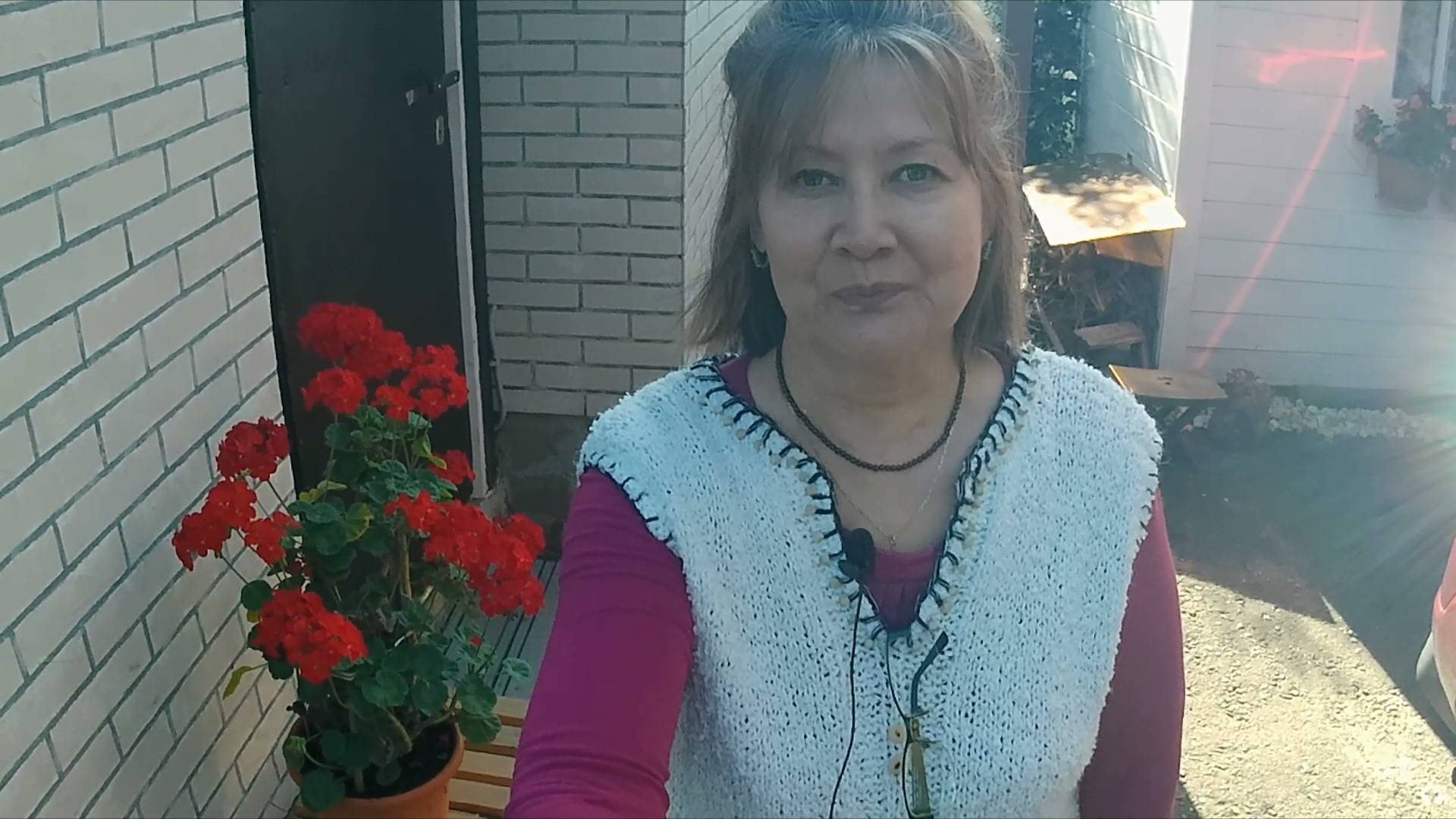 Живая изгородь. Ландшафтный дизайн.