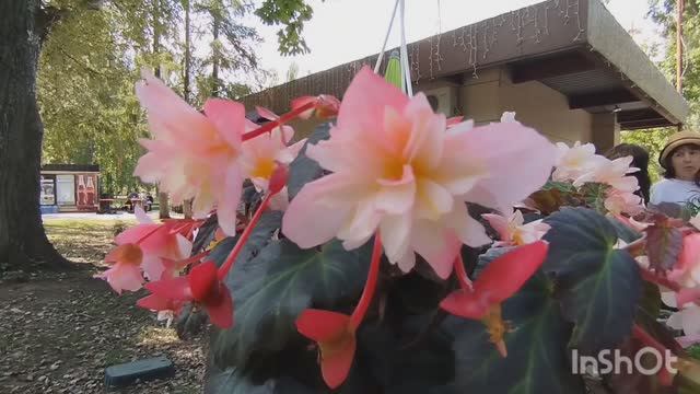 Выставка цветов в Самаре. 🌴🌷🌵💕