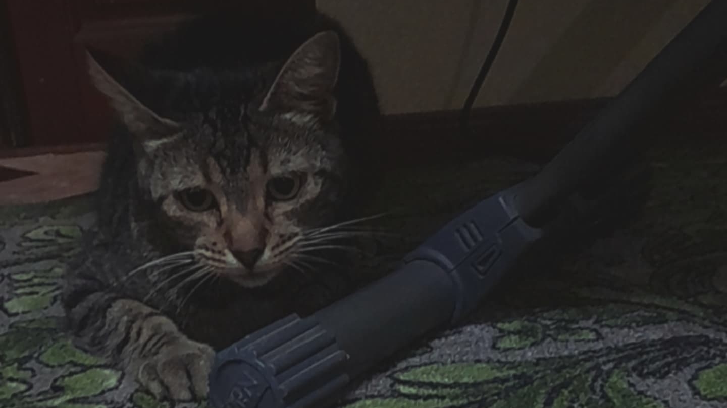 Ужин вечерний