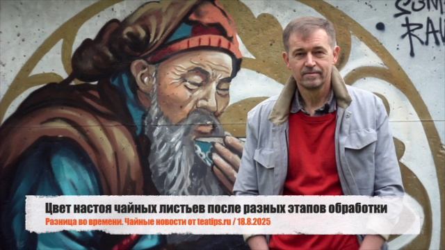 Цвет настоя чайных листьев после разных этапов обработки