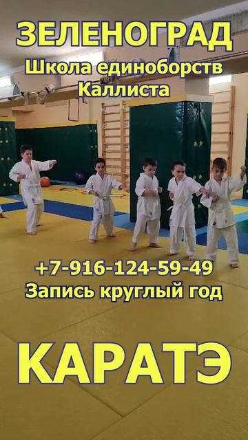 Детское каратэ в Зеленограде. Запись круглый год