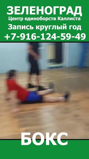 Зеленоград новости спорта. Школа бокса весной. Запись круглый год