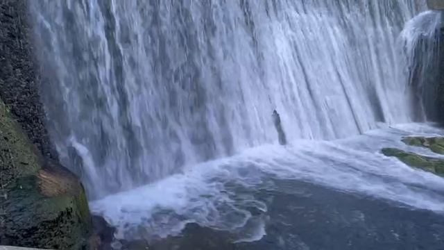 Relax. Абхазия, водопад