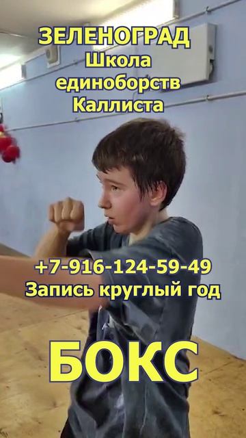 Зеленоград новости спорта. Школа бокса. Запись круглый год.2