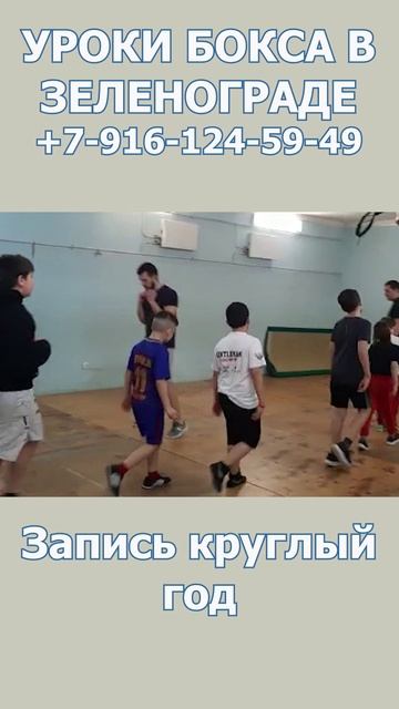 Уроки бокса в Зеленограде. Запись круглый год