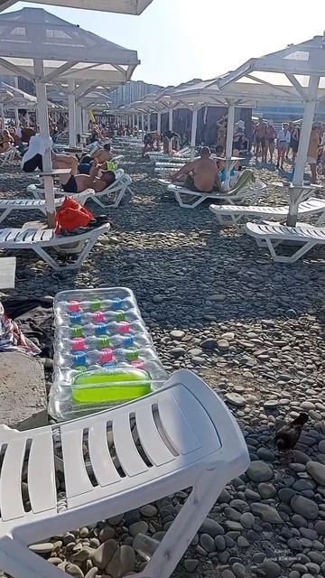 Город Новороссийск, пляж Алексино  сегодня 17.08.2025 г.