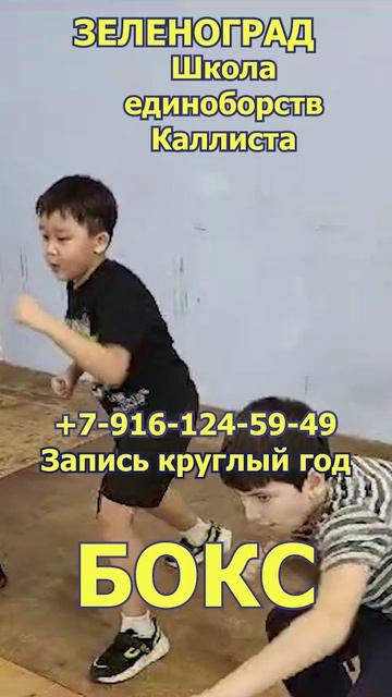Зеленоград новости спорта. Школа бокса. Запись круглый год