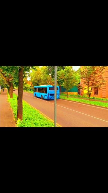 Лиазы 4292