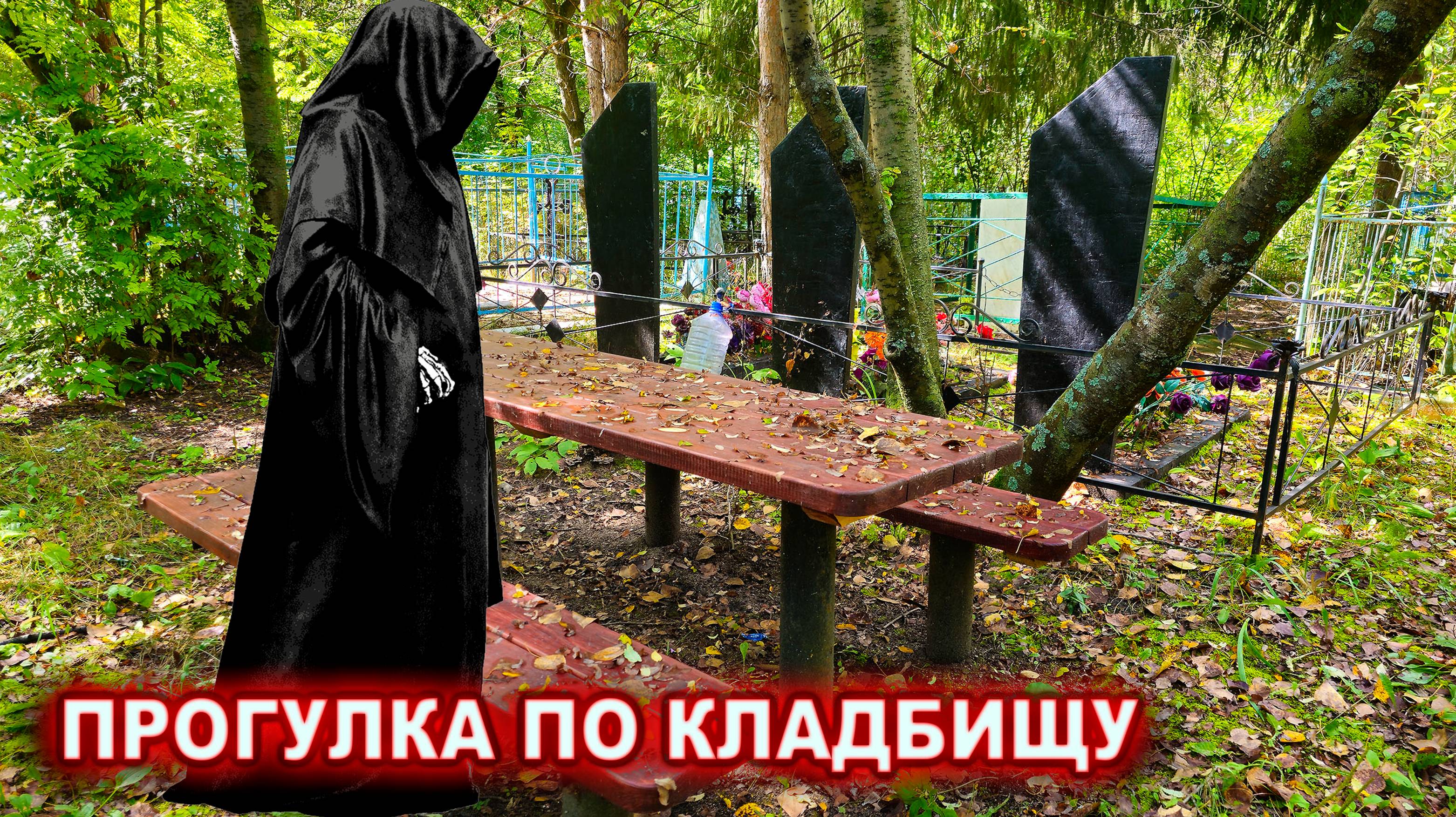 ЛЕСНАЯ ПРОГУЛКА ПО КЛАДБИЩУ 2025  СЕГОДНЯ
